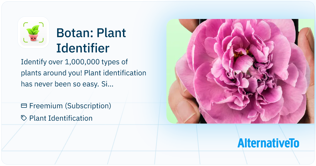 Botan: Plant Identifier: Identify over 1,000,000 types of plants around ...