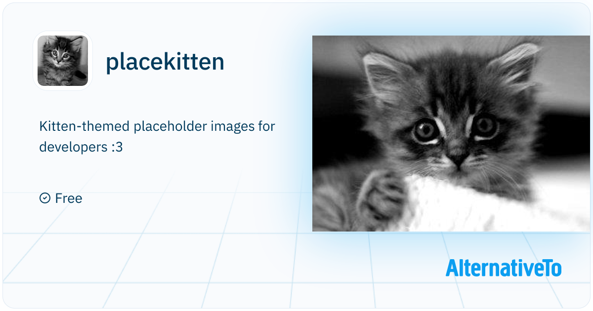 placekitten: Kitten-themed placeholder images for developers ...