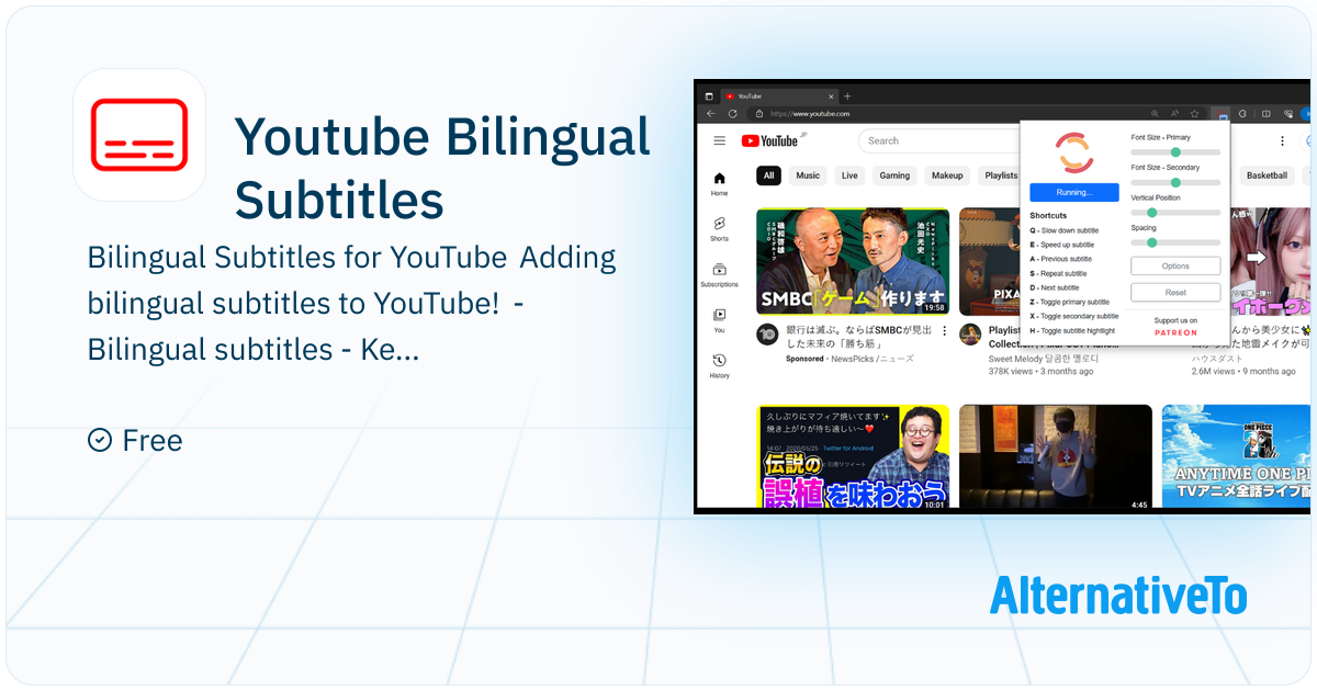 Youtube Bilingual Subtitles: Bilingual Subtitles for YouTube ...