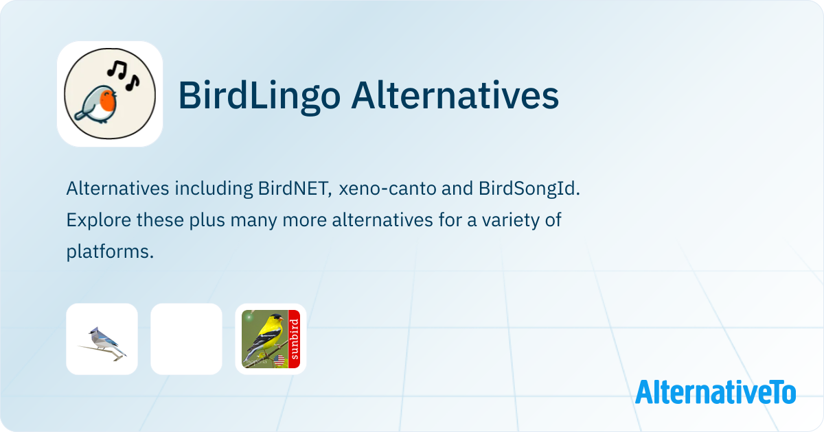 BirdLingo Alternatives - Explore Similar Sites & Apps | AlternativeTo