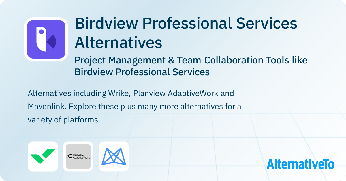 Birdview Professional Services Alternatives: Top 3 Project Management ...
