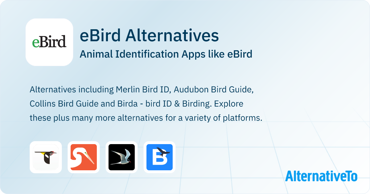 eBird Alternatives: Top 4 Animal Identification & Similar Apps ...