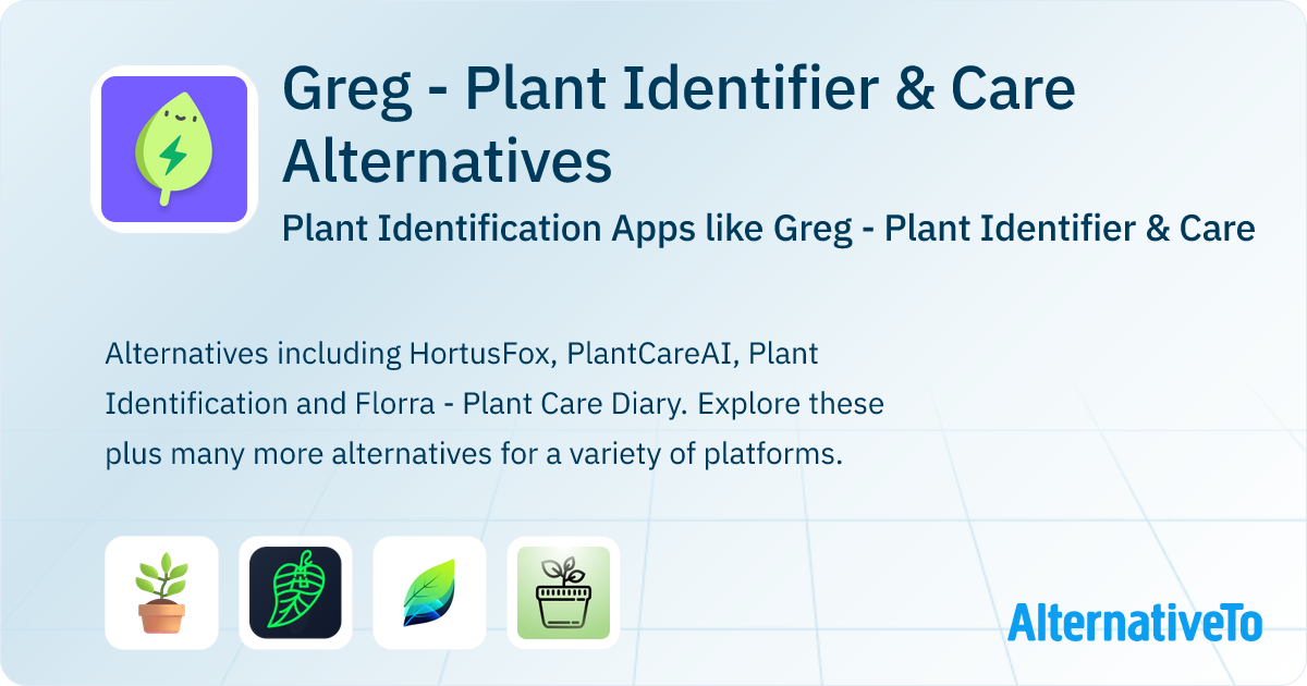 Greg - Plant Identifier & Care Alternatives: Top 3 Plant Identification ...