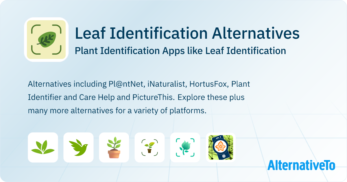 Leaf Identification Alternatives: Top 12 Plant Identification & Similar ...