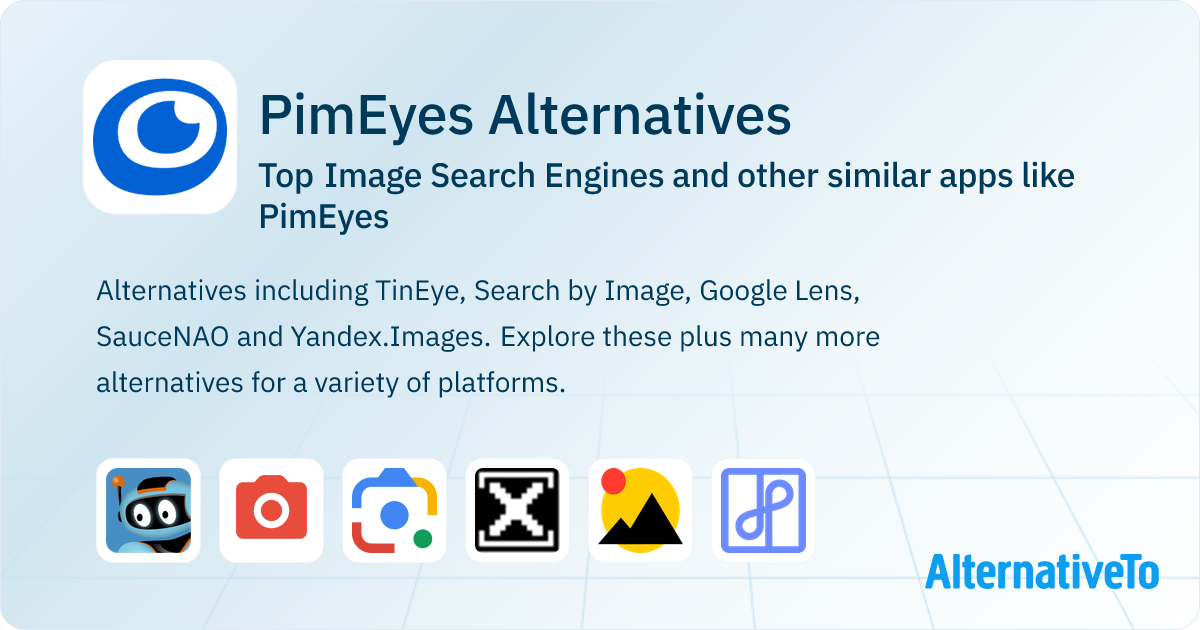 Great PimEyes Alternatives: Top Image Search Engines in 2026 ...