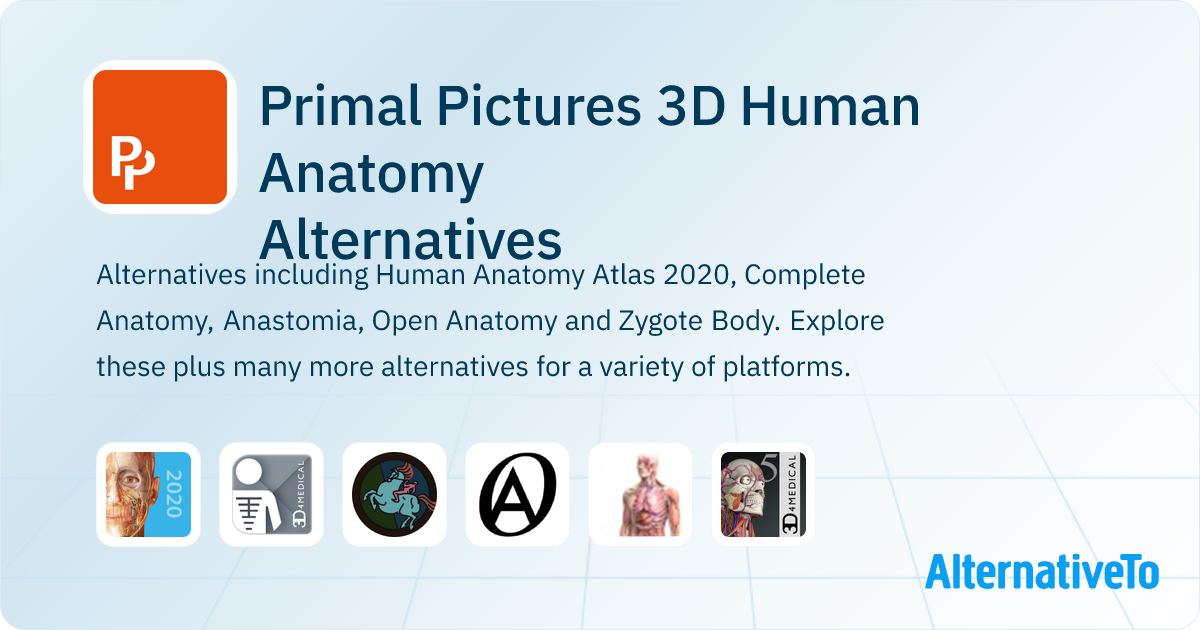 Primal Pictures 3D Human Anatomy Alternatives - Explore Similar Sites ...