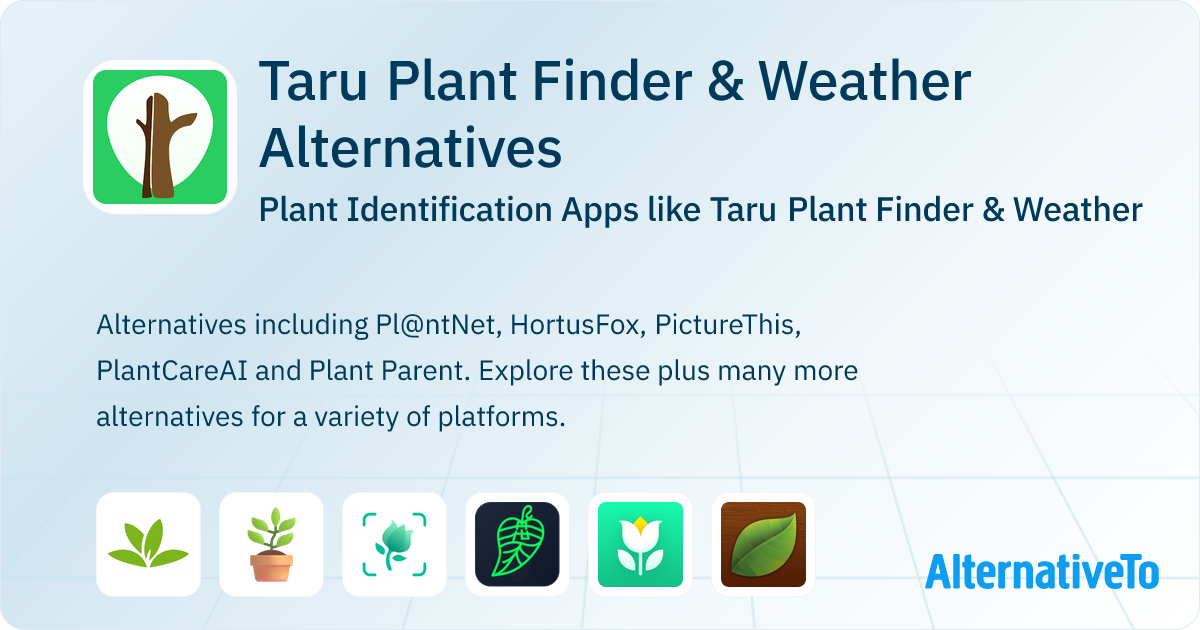 Taru Plant Finder & Weather Alternatives: Top 10 Plant Identification ...